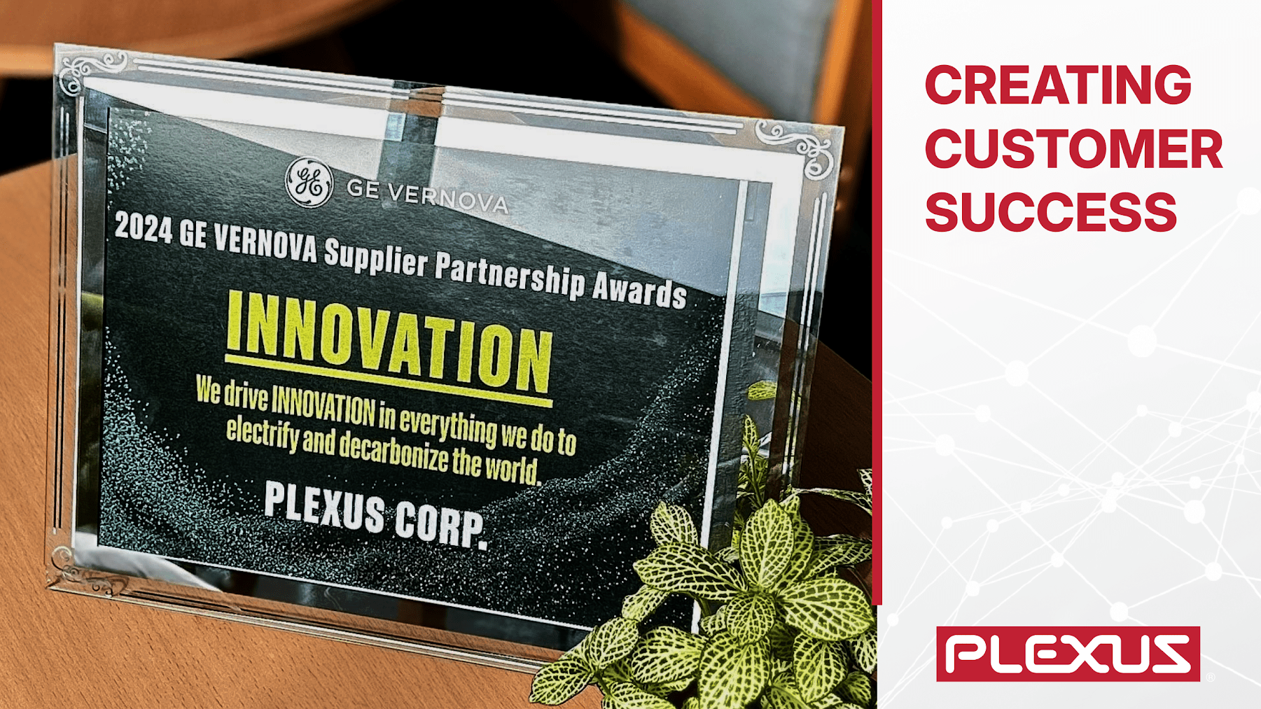News | Plexus